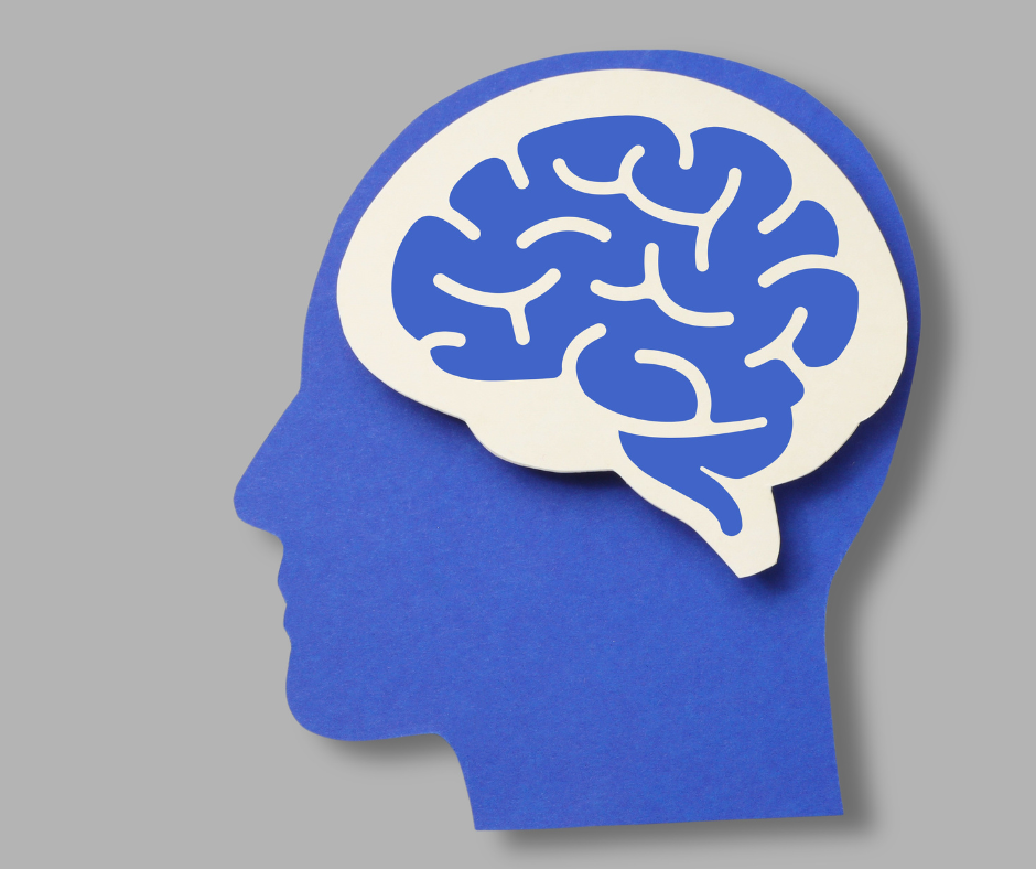 From Jet Lag to Flow State: Rewiring Your Brain for Travel Resilience ...